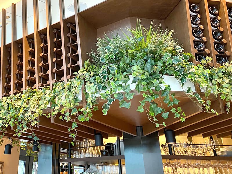 Bar Espanol YEBRA【GRANSCAPE グランスケープ】